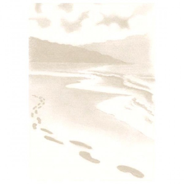 Traditional Footprints | Thermalgraphics